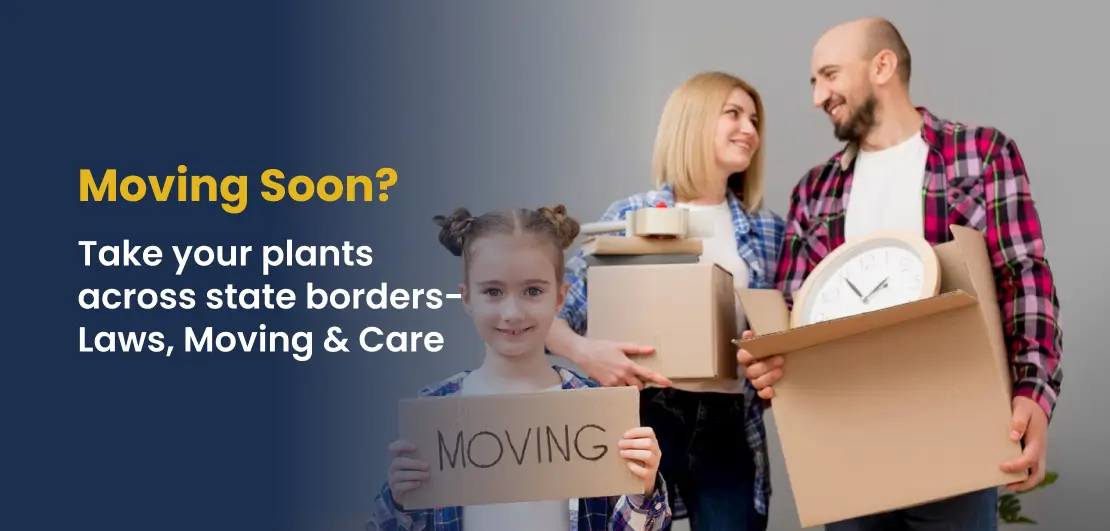 Moving Plants Across State Borders